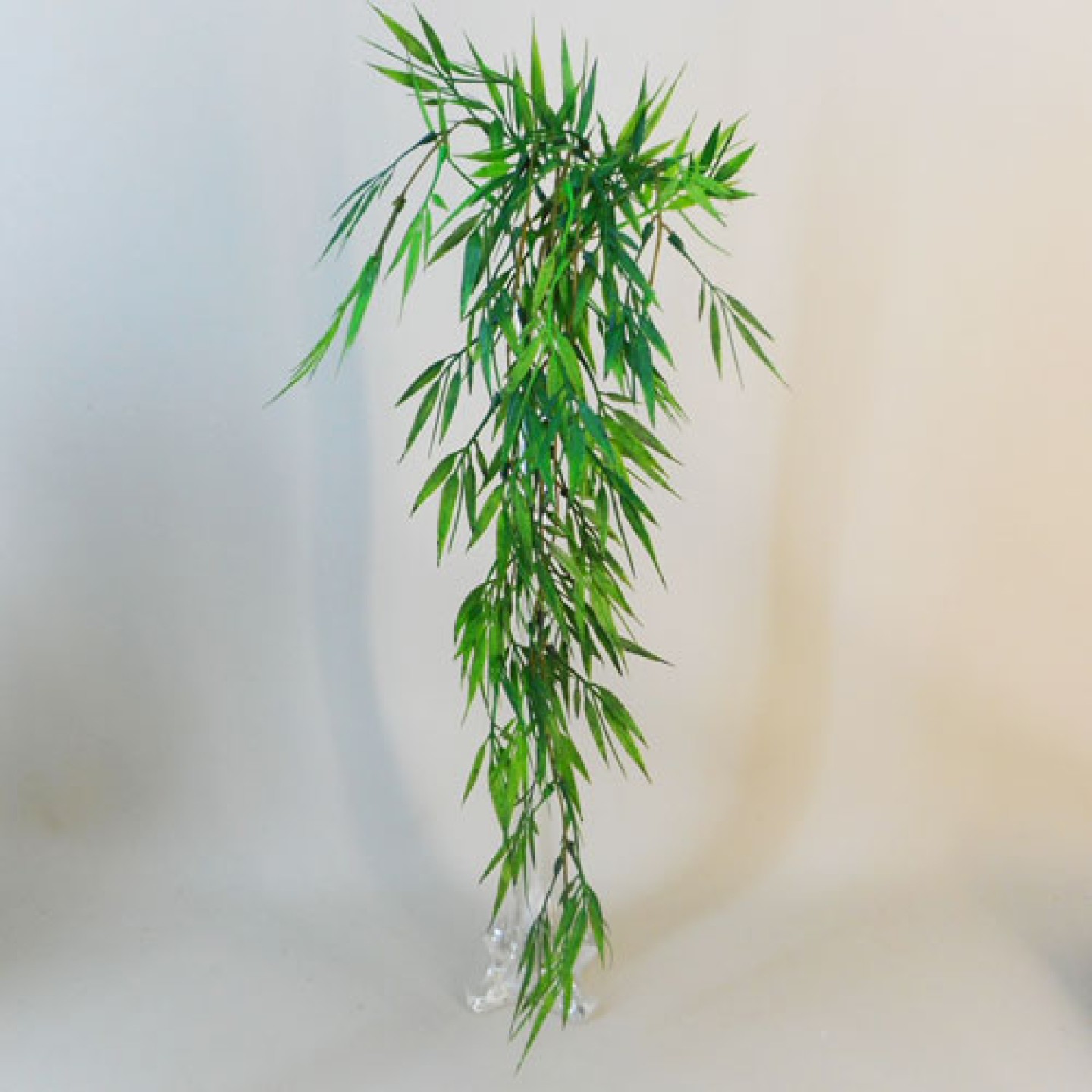 Bamboo