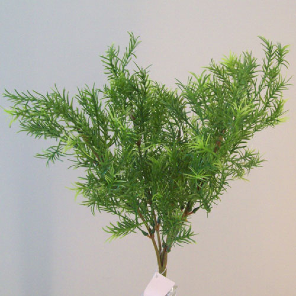 Artificial Sprengeri Plant 35cm | Artificial Plants