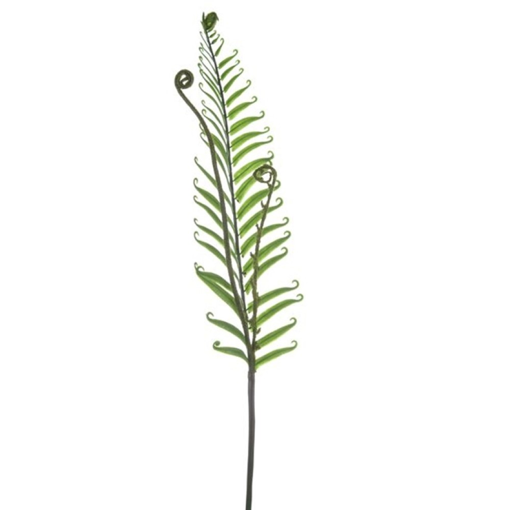 Artificial Fiddle Head Fern Leaves | Artificial Ferns