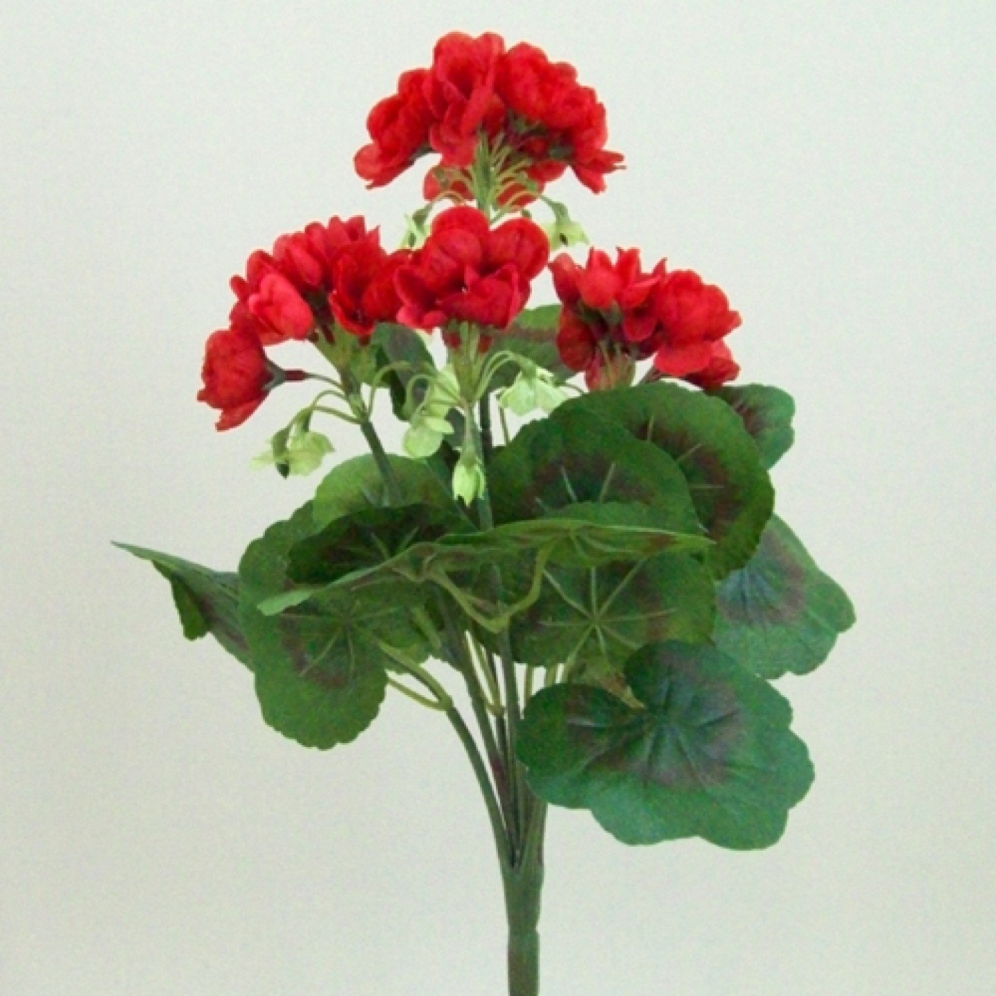 Geraniums | Silk Flowers