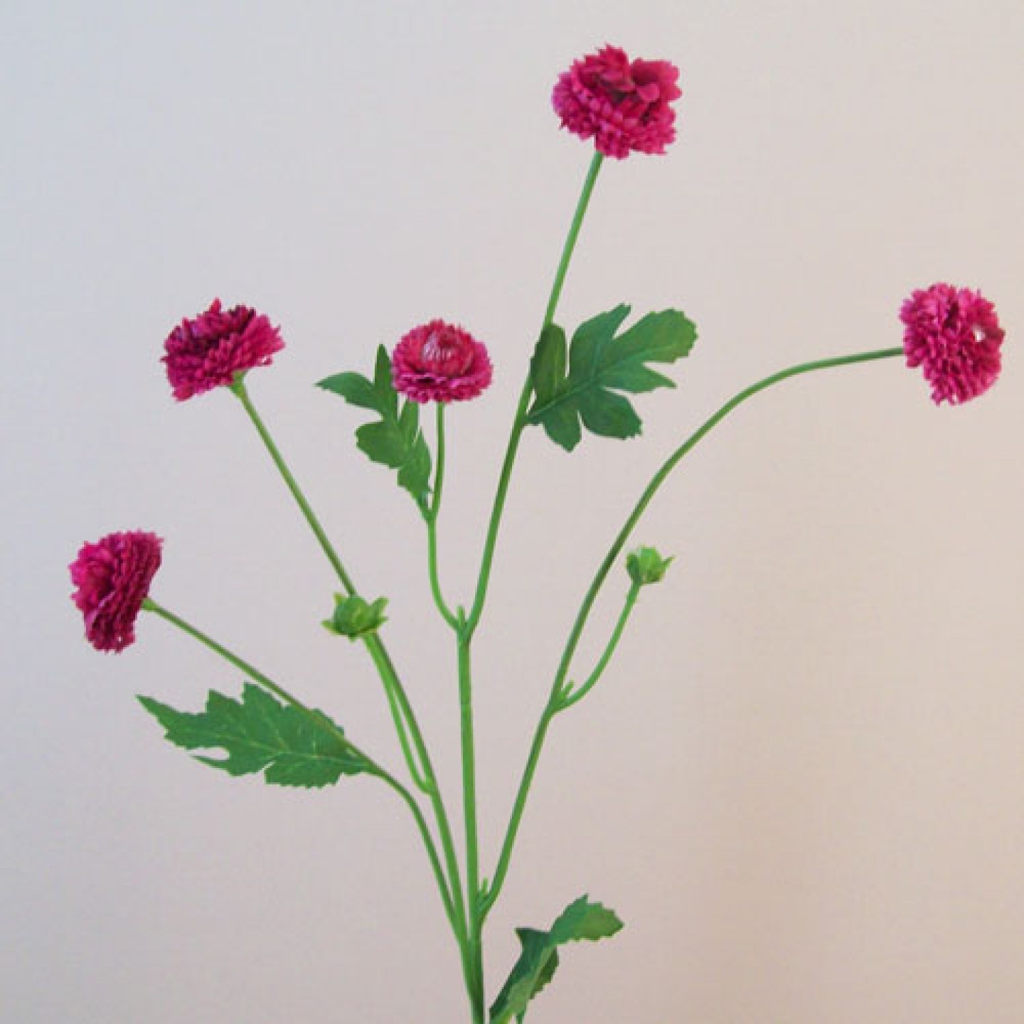 Asters | Artificial Flowers