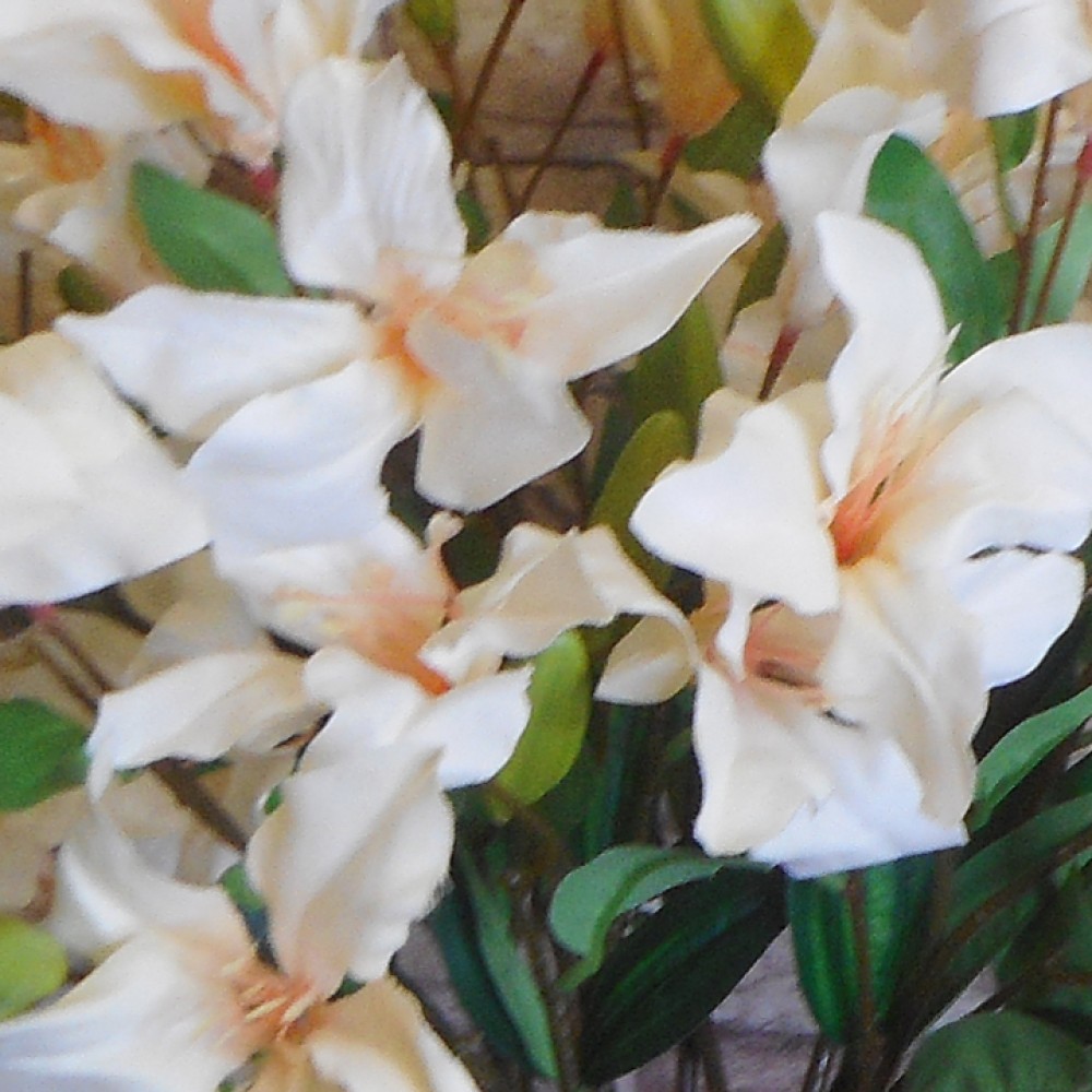 Artificial Oleander Peach 72cm | Artificial Flowers