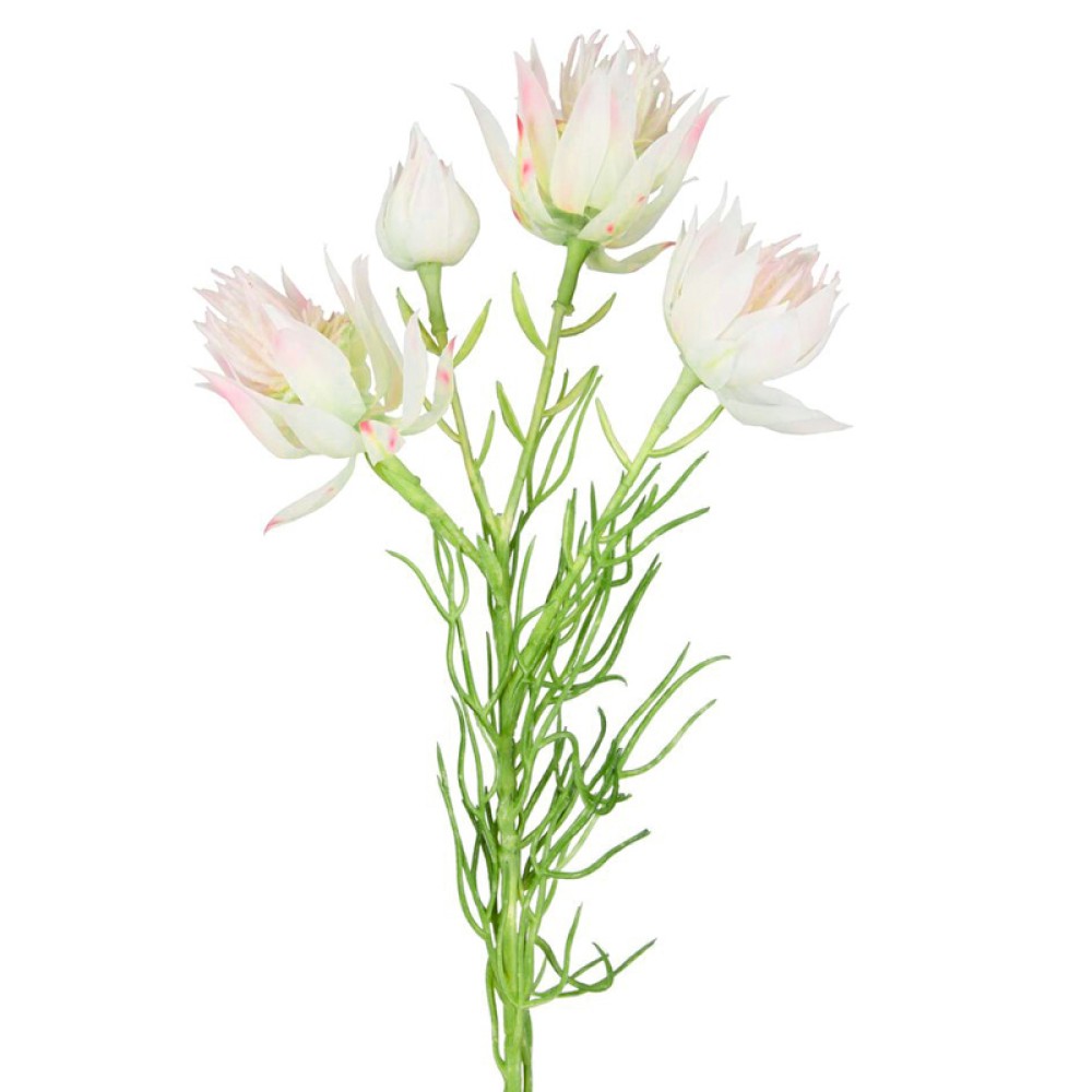 Artificial Blushing Bride Protea Flowers Blush Pink 55cm | Artificial ...