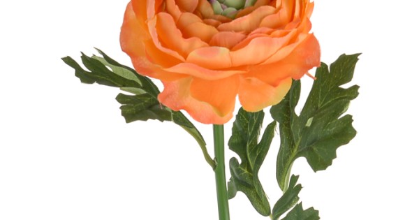 Ranunculus | Silk Flowers