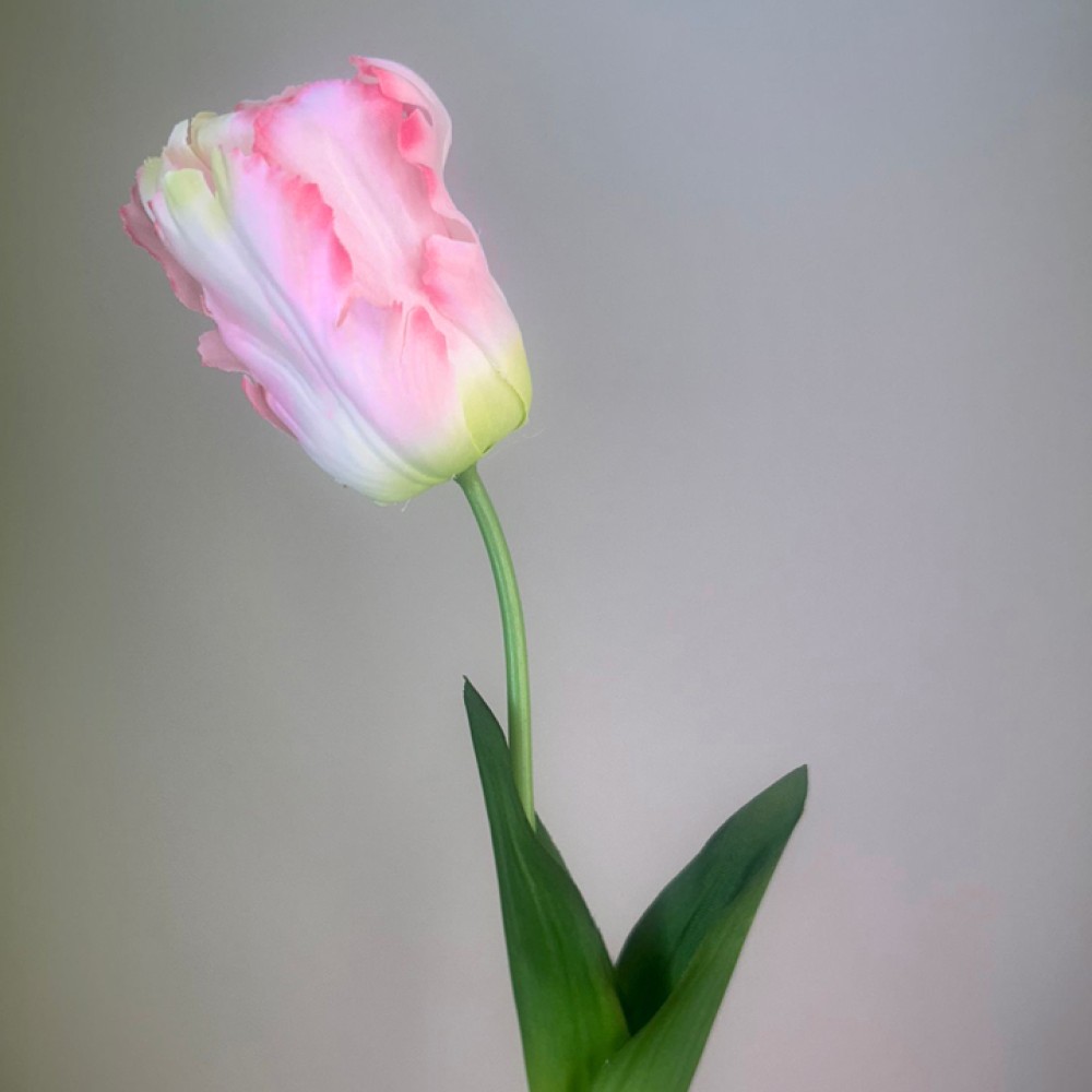 Artificial Parrot Tulip Pale Pink 69cm | Artificial Flowers